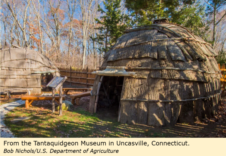 Remembering Samson Occom