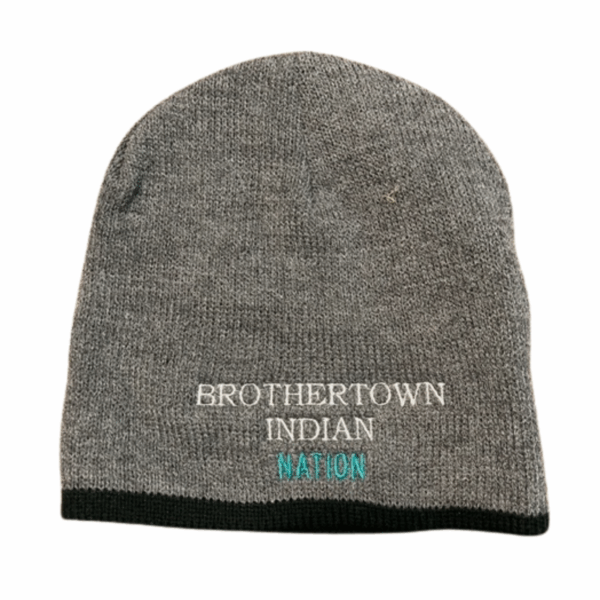 Gray Beenie Winter Hat